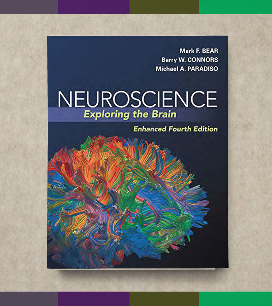 Учебники Neuroscience: Exploring the Brain 4th - купить с доставкой по выгодным ценам в интернет ...