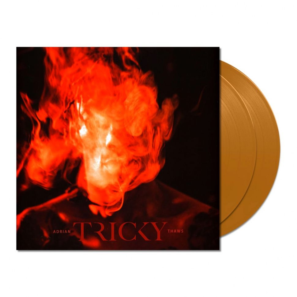 Виниловая пластинка Tricky Adrian Thaws - купить с доставкой по ...