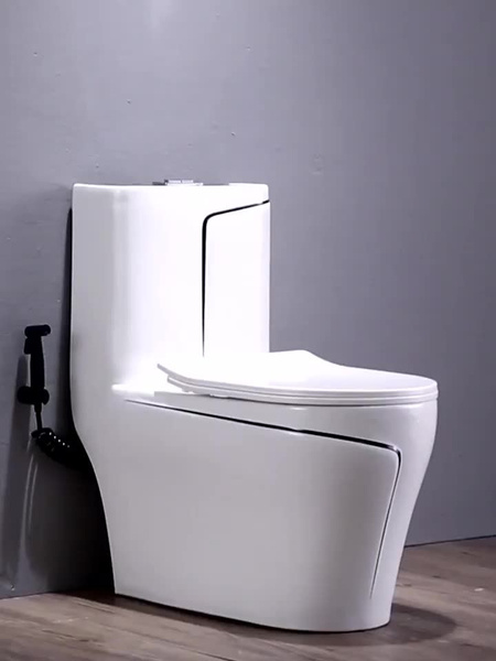 Унитаз-моноблок Zandini BARI Z19-19WS белый с серебром стильный, компактный, с микролифтом ...