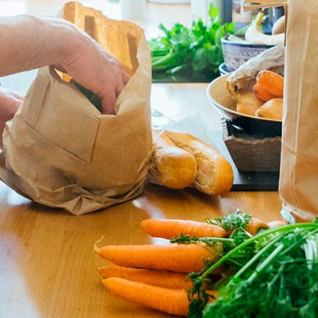 Компостер электрический бытовой, кухонный для пищевых отходов Oklin ...