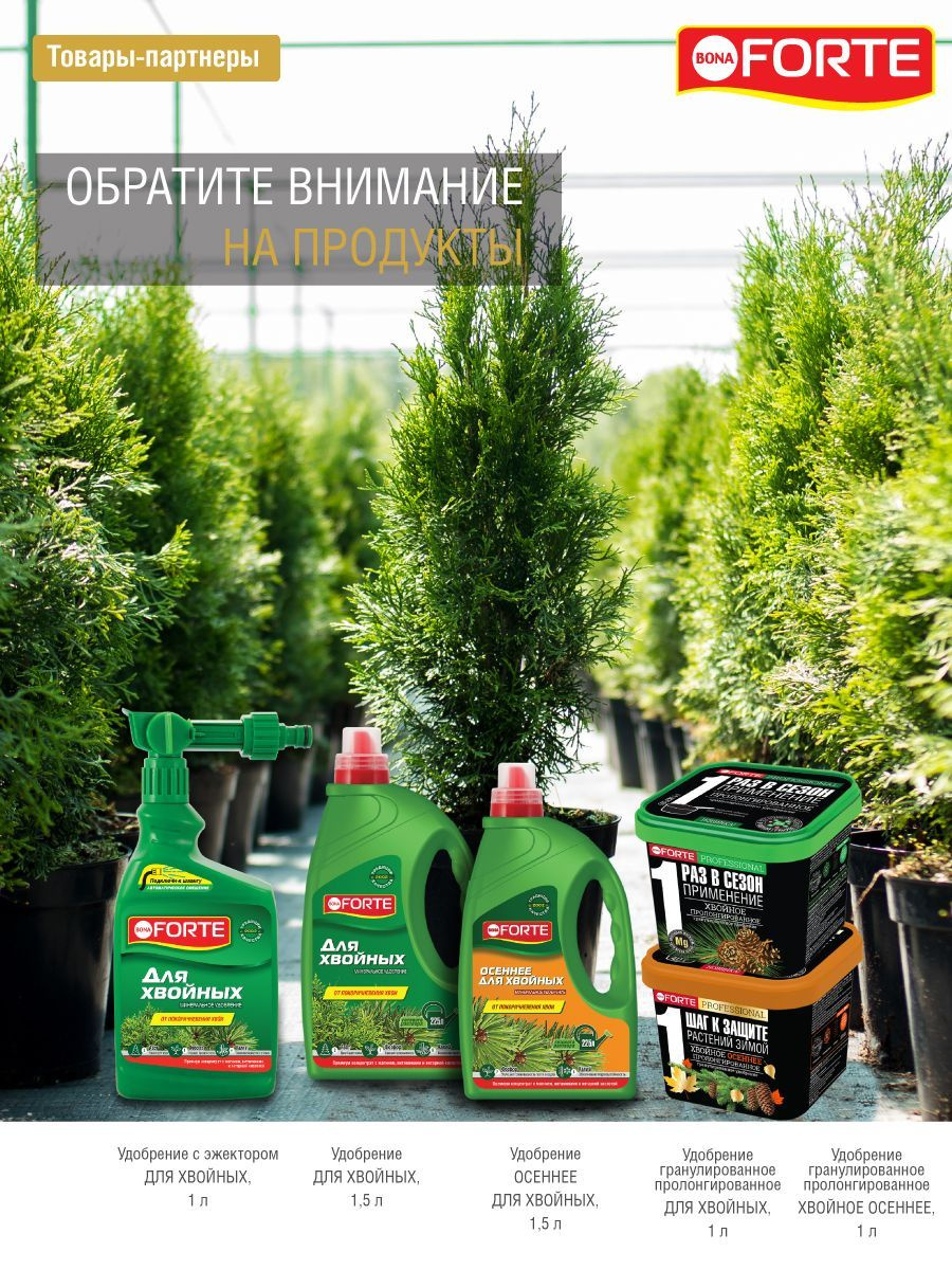 Комплект удобрений Для хвойных растений Красота + Здоровье (285 + 285 ...