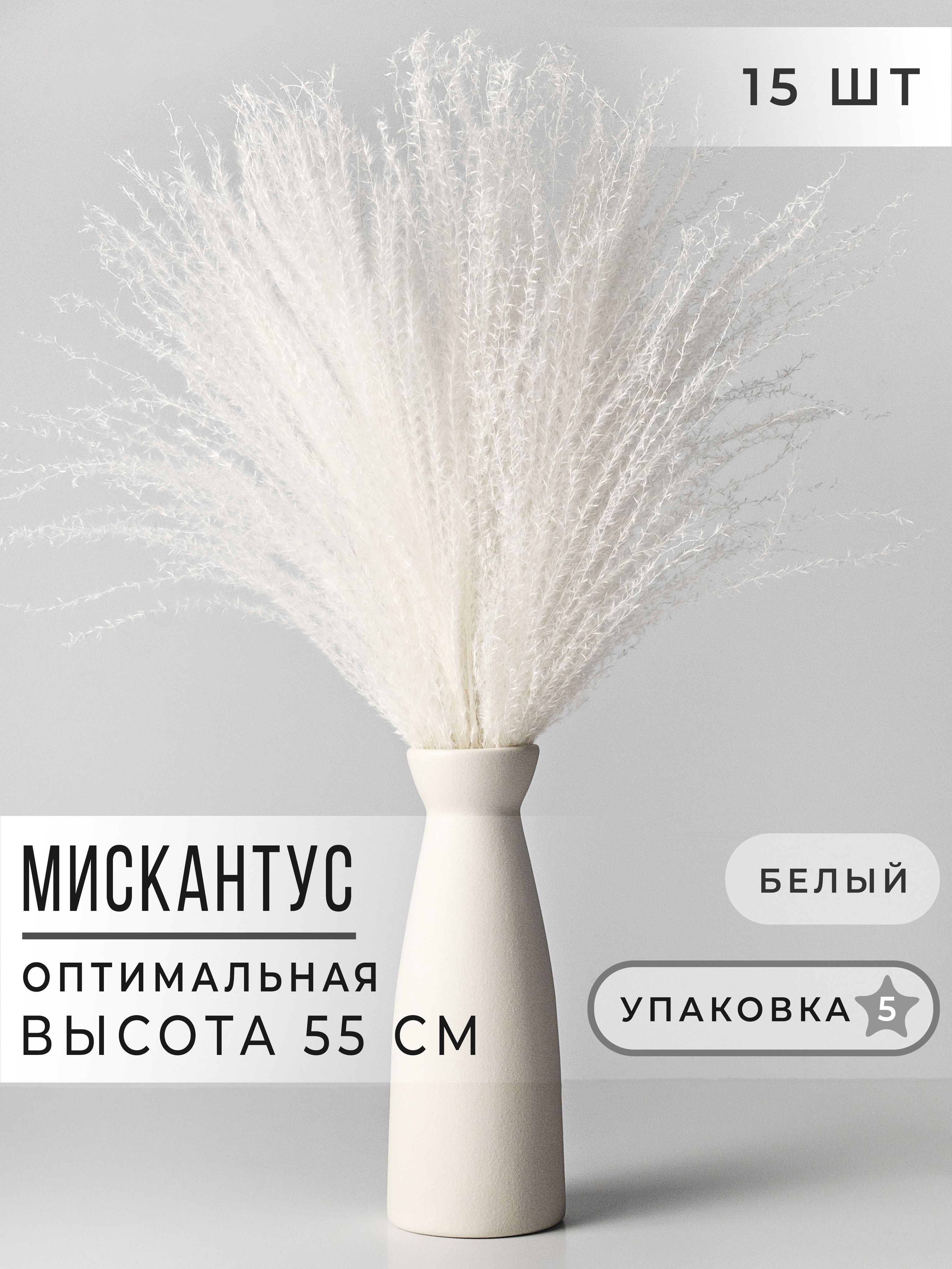 ARANTA Сухоцветы Пампасная трава, Мискантус, 55 см, 50 гр, 15 шт купить ...
