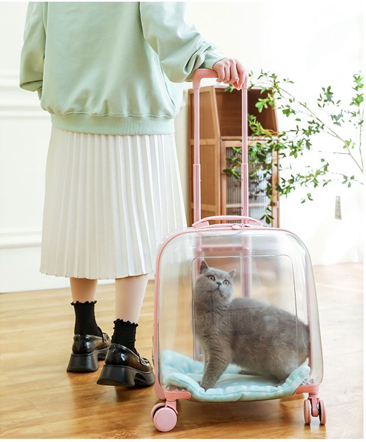 переноска для кошек,переноска для кошек пластиковая ,Кошачий чемодан 41 ...