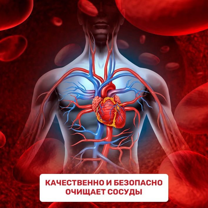 Витамины для сердца и сосудов Artepal - купить с доставкой по выгодным ...