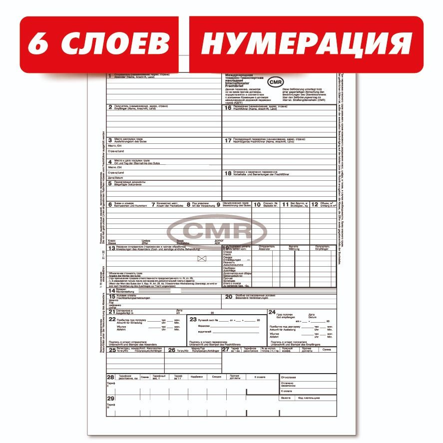 Бланк бухгалтерский - купить по выгодной цене в интернет-магазине OZON (720004992)