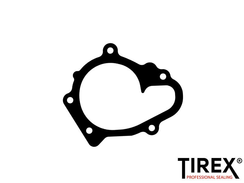 Прокладка водяного насоса (помпа) (HYUNDAI / KIA 25124-02500) - Tirex ...