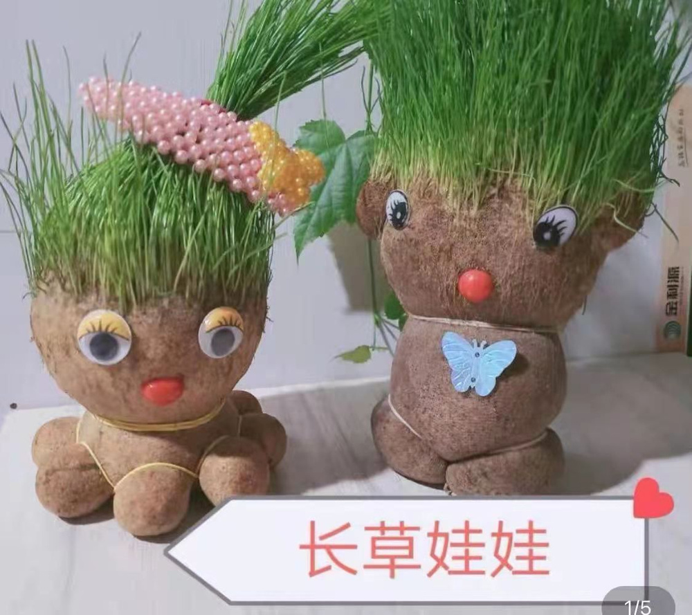 Травянчик, Однолетник купить по выгодной цене в интернет-магазине OZON ...