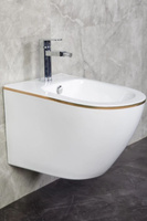 Подвесное биде Zandini Ancona Z19-15/1B купить на OZON по низкой цене (1743920866)