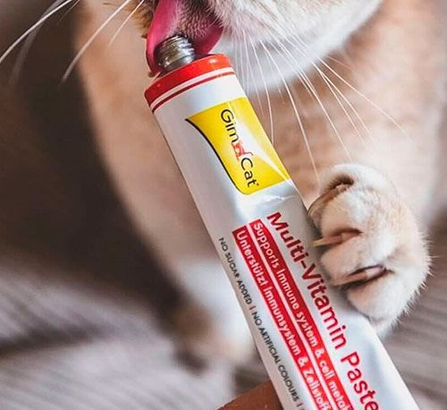 Мультивитаминная паста для кошек GimCat Multi-Vitamin Paste Extra, 100 ...