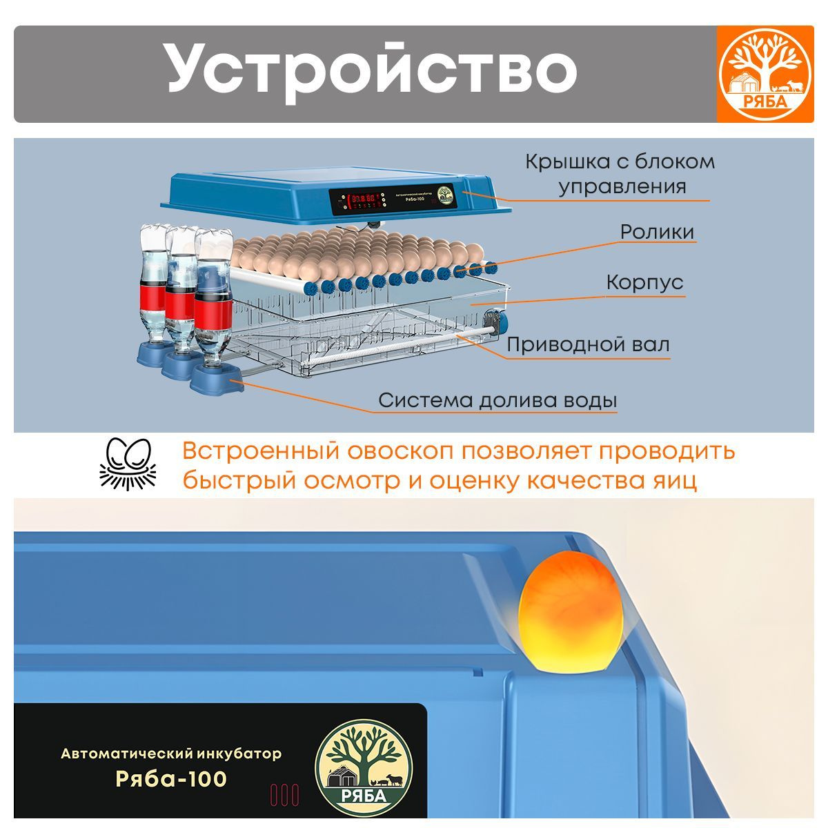 Инкубатор для яиц автоматический Р100 с терморегулятором, гигрометром ...