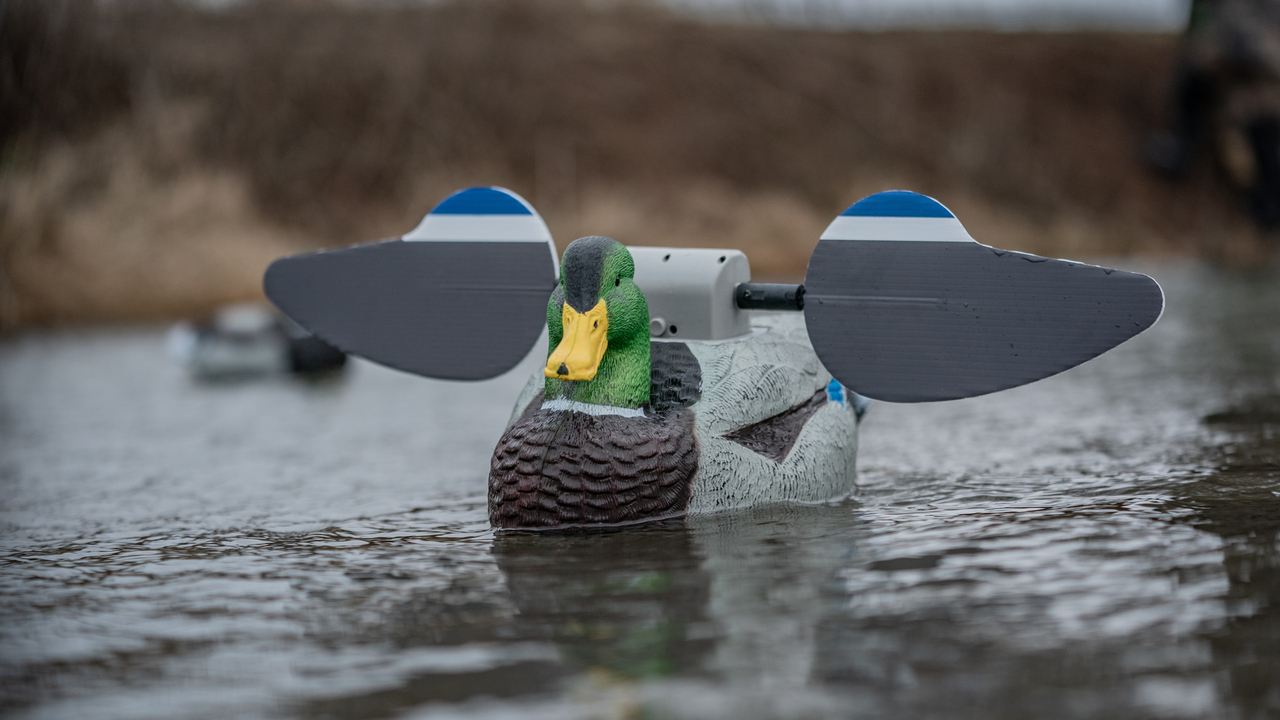 Lucky Duck Чучело купить на OZON по низкой цене (441240574)