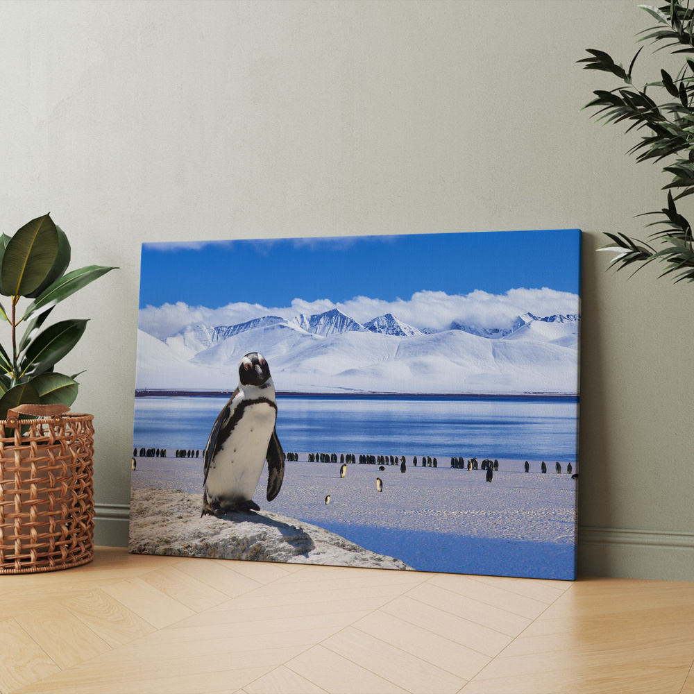 Картина на холсте "Пингвин стоит на камне и смотрит на пингвинов" 30x40 ...