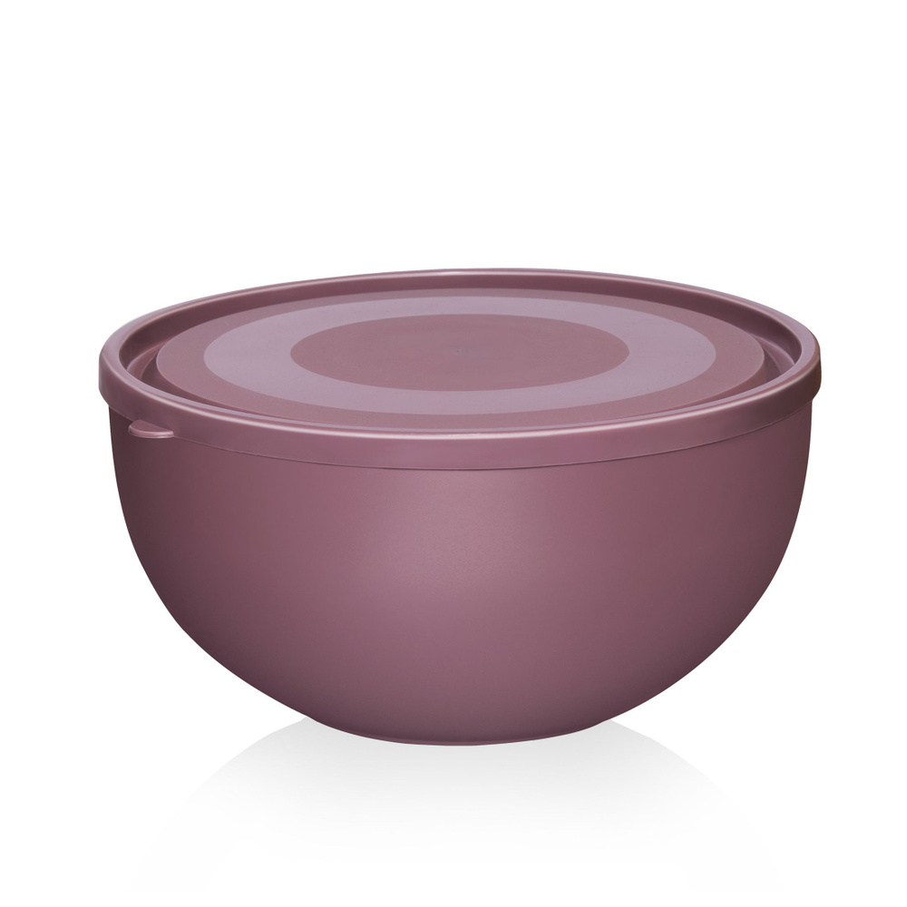 Салатник Elfplast, 2500 мл купить по низкой цене с доставкой в интернет-магазине OZON (896616082)