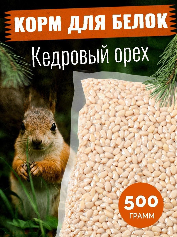 Кедровые орехи для белок и других грызунов — купить в интернет магазине