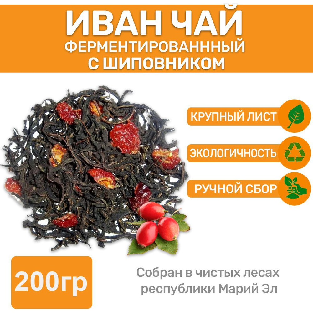 Иван чай с шиповником ферментированный рассыпчатый листовой. Иван-чай ...