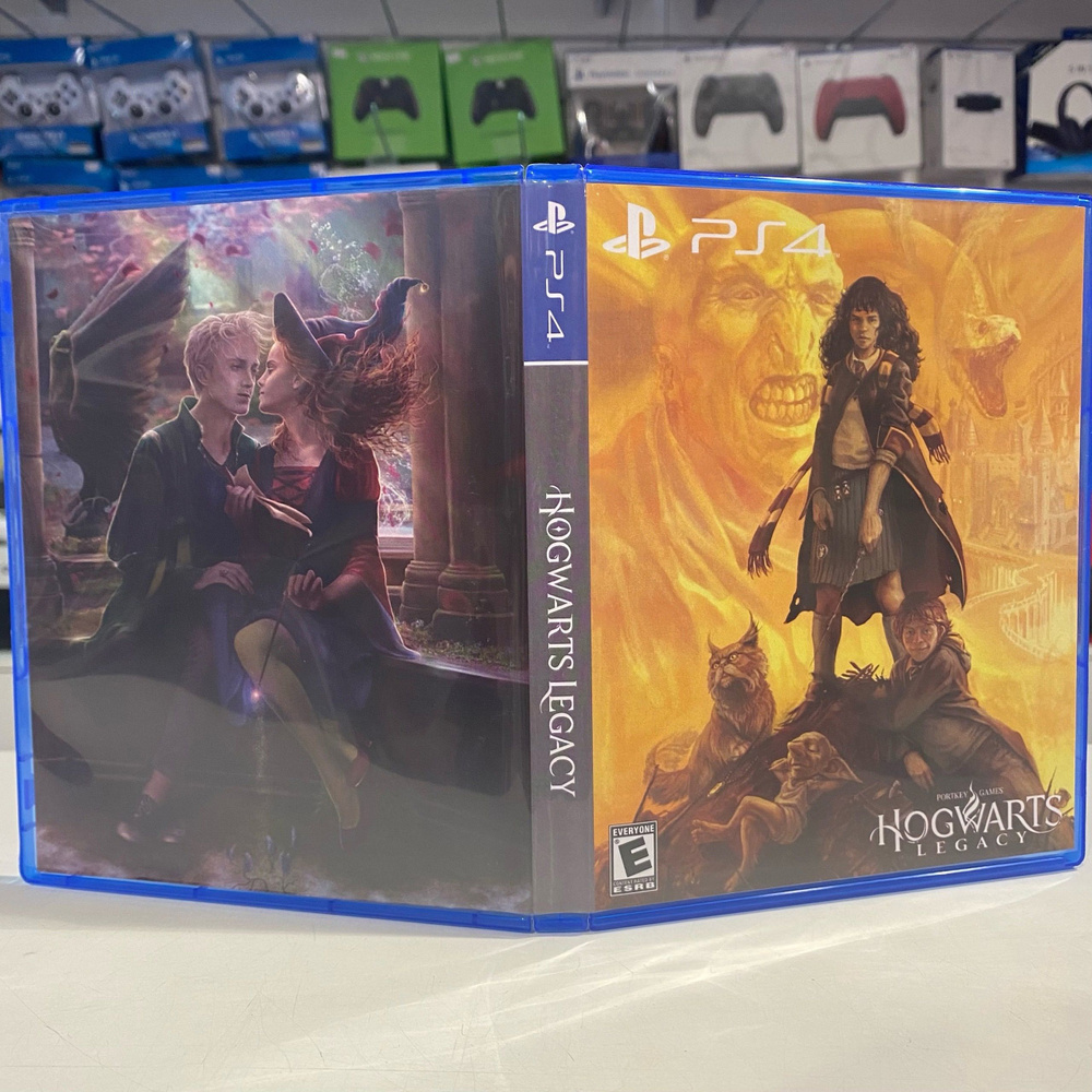 " Hogwarts Legacy " PS4 - Кастомная обложка для диска - купить с ...