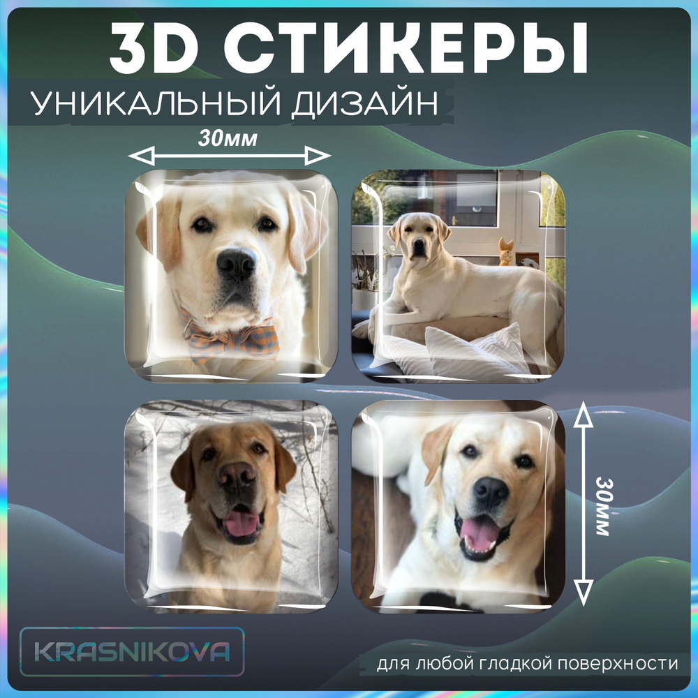 Наклейки на телефон 3д стикеры собачки Лабрадор ретривер купить с доставкой по выгодным ценам