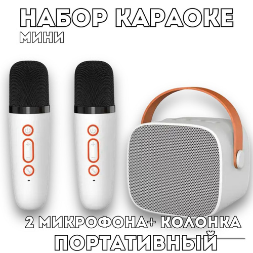 Набор для караоке мини, для взрослых и детей - купить с доставкой по ...