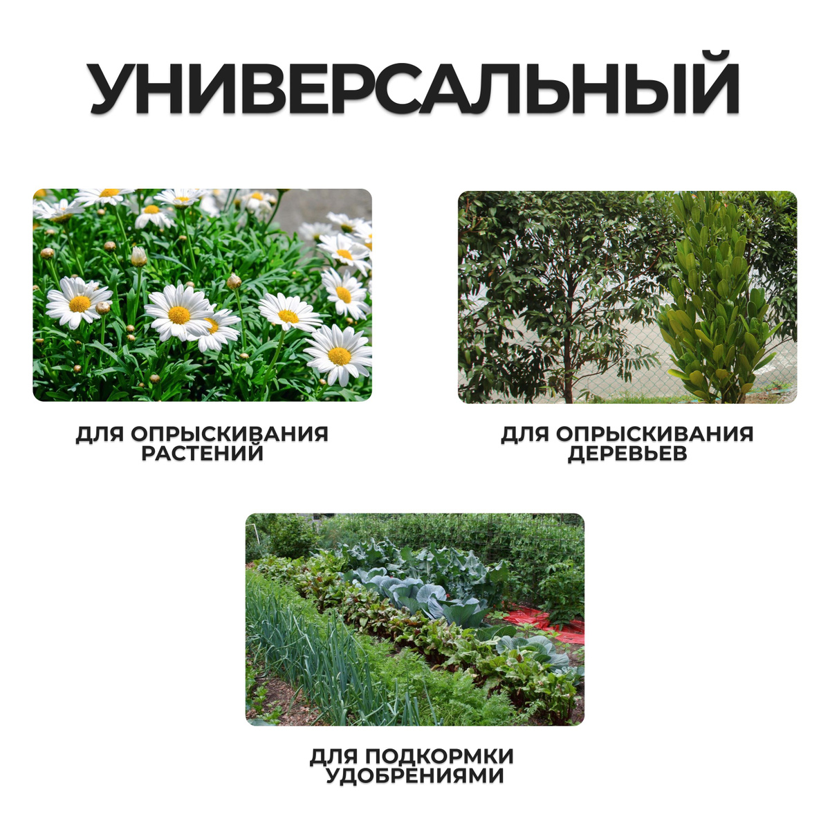 Опрыскиватель аккумуляторный садовый электрический ранцевый для растений Electrolite BS-12 С ...