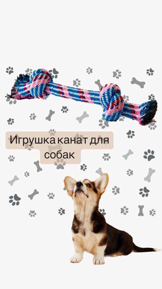 Игрушка Канат для собак - купить с доставкой по выгодным ценам в ...