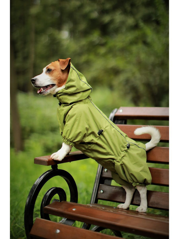 Дождевик Joy Jack MonoCactus - купить с доставкой по выгодным ценам в ...