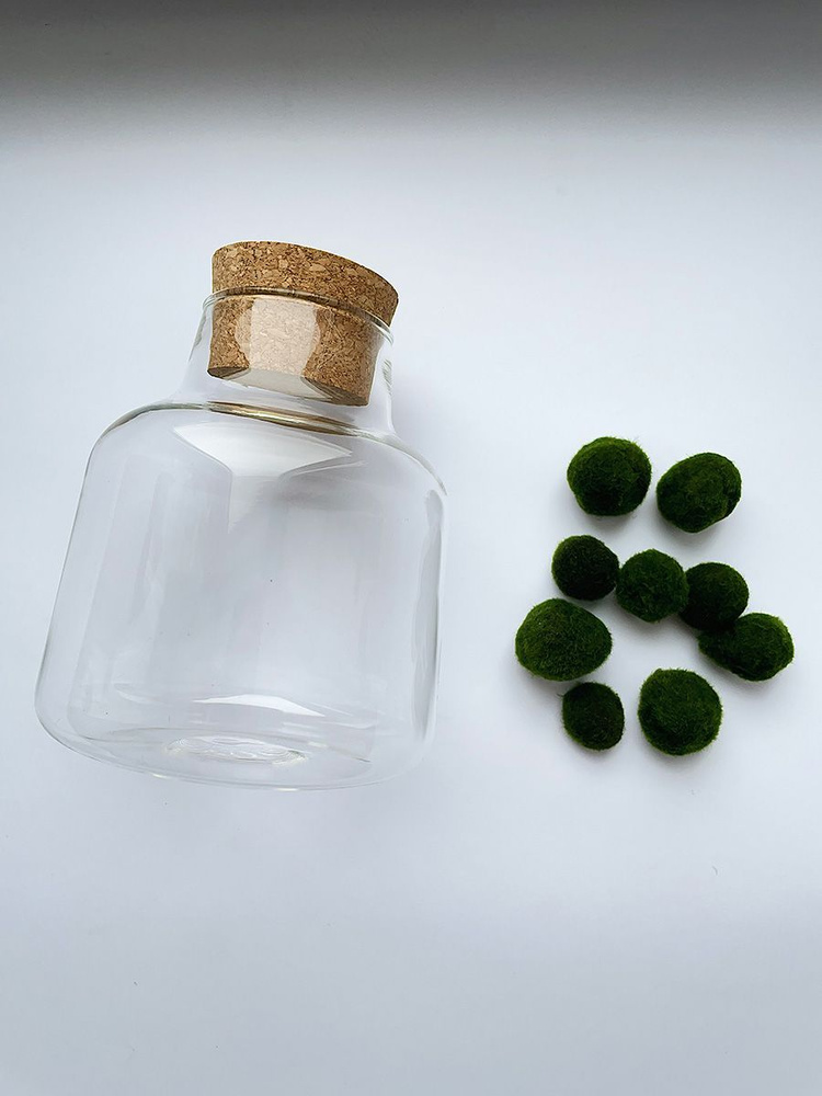 Moss ball pet в стеклянной вазе / мини аквариум HEIS - купить с ...