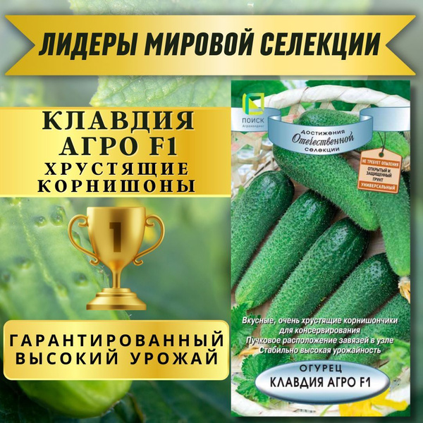 Огурцы ПОИСК Агрохолдинг lidery-ogurec_зеленый_светло-зеленый - купить ...