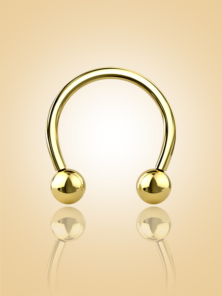 Pirsa Пирсинг Циркуляр В ухо - купить с доставкой по выгодным ценам в ...