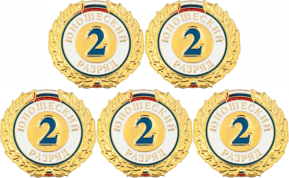 (5 штук, комплект) Значок 2 юношеский разряд, знак спортивного разряда ...