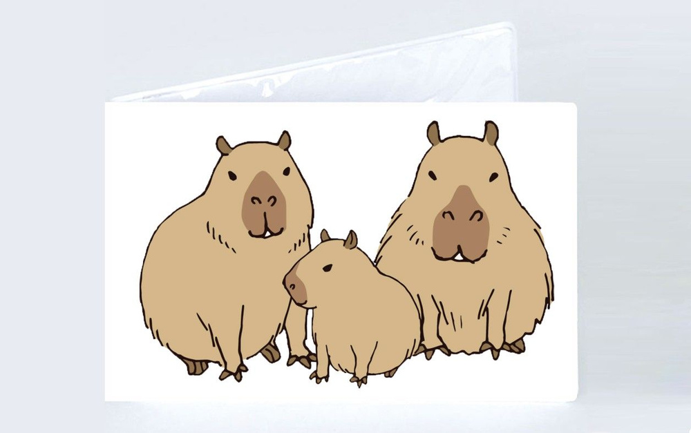 Картхолдер MIGOM 11*9 Капибара, Capybara - 0009 - купить с доставкой по выгодным ценам в ...