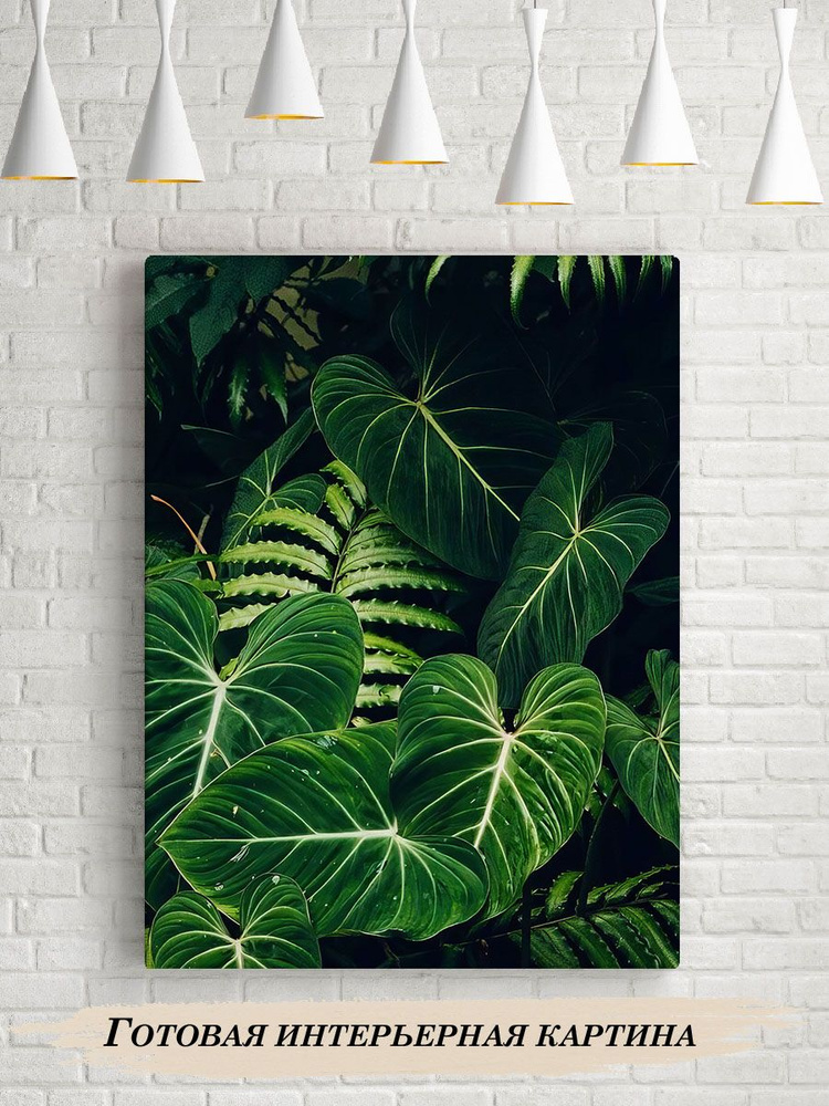 Картины для интерьера 40х60 Зелень листья джунгли купить по низкой цене в интернет магазине