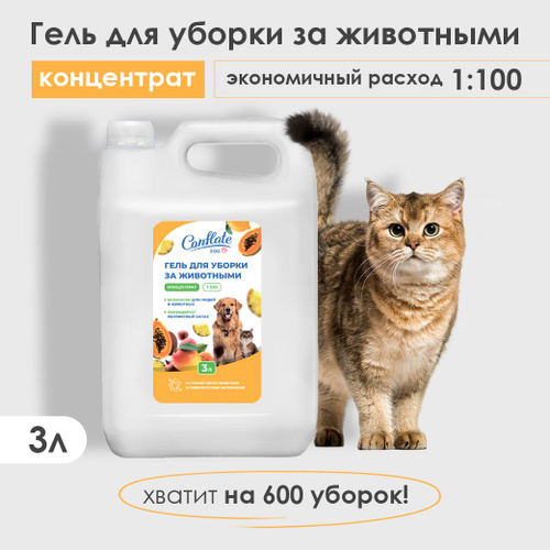 Conflate ZOO Средство концентрированное для мытья пола 3 л. - купить с ...
