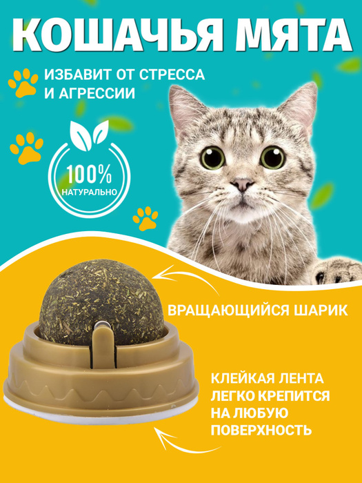 Шарик с кошачьей мятой Лакомство для животных Игрушка для котов