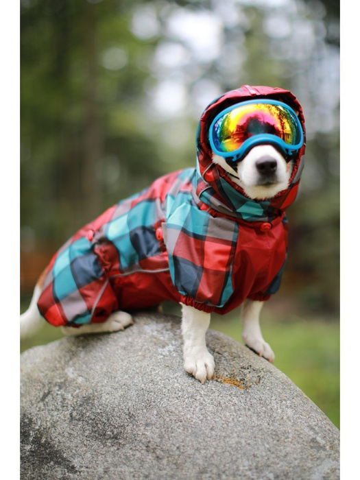 Дождевик Joy Jack RainTrend - купить с доставкой по выгодным ценам в ...