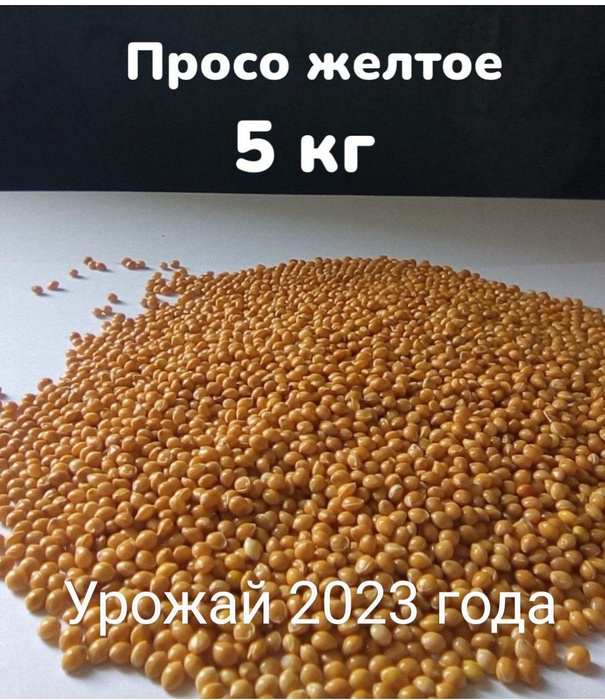 Просо желтое - купить с доставкой по выгодным ценам в интернет-магазине ...