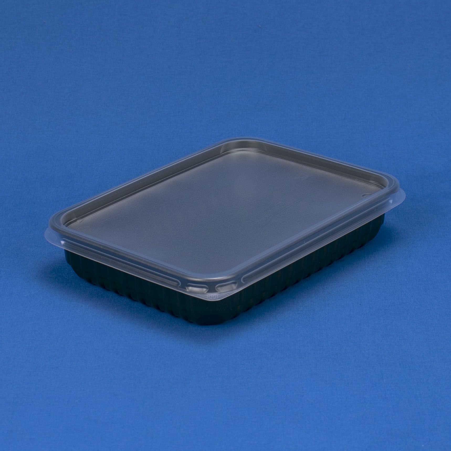 Контейнер одноразовый (25 предметов) SoftHome - купить по выгодной цене в интернет-магазине OZON ...