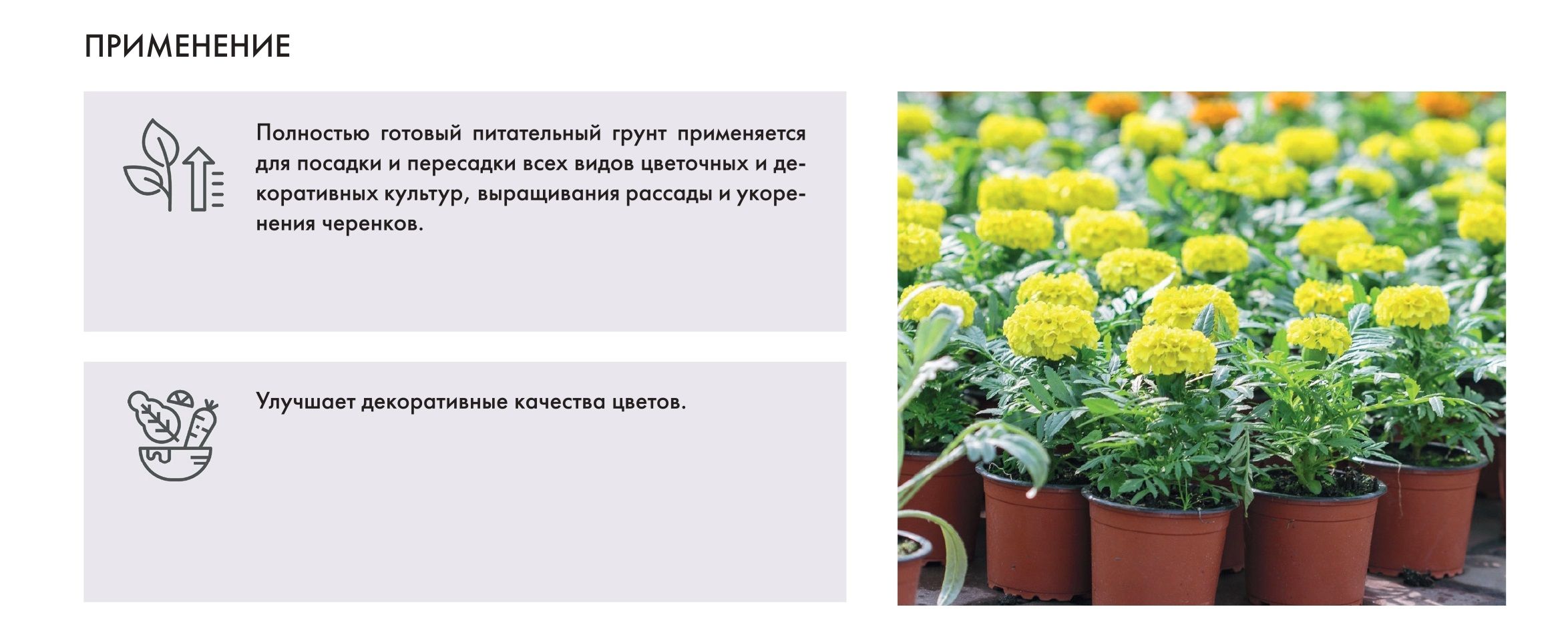 Живая Земля Цветочная 10 л. Питательный Грунт Terra Vita универсальный ...