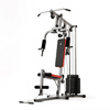 Силовой комплекс DFC HomeGym D7000-60 / стек 60 кг купить на OZON по низкой цене (1648692833)
