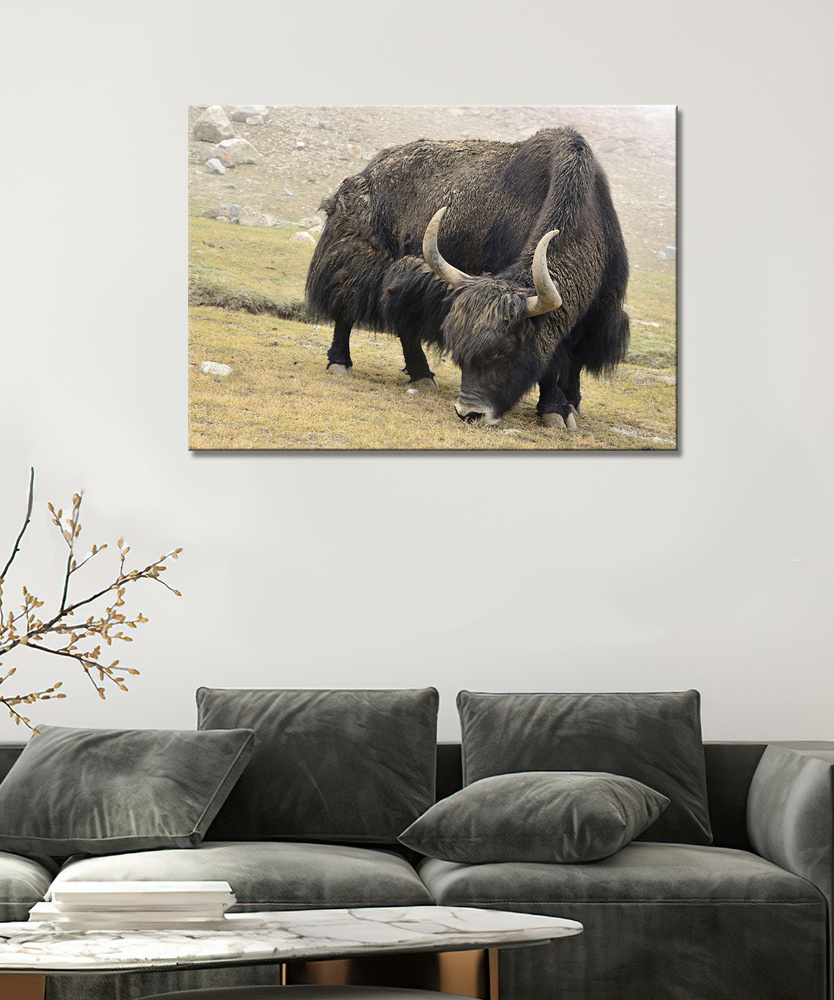 Интерьерная картина - "Як (8) 60х80" - купить по низкой цене в интернет ...