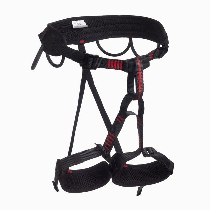 LISIK. Карабин альпинистский, 1 шт - купить с доставкой по выгодным ценам в интернет-магазине ...