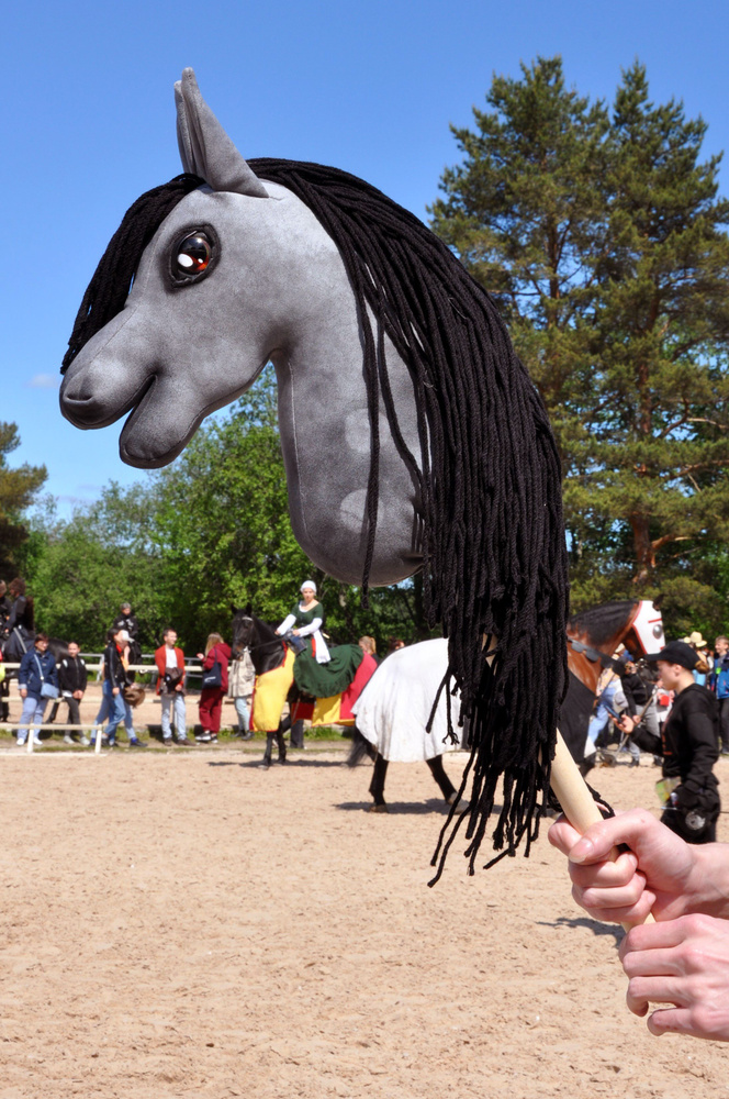 ХоббиХорс / HobbyНorse / Лошадка на палочке - купить с доставкой по ...