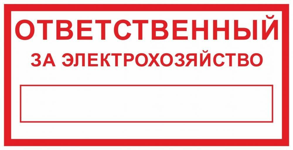 Табличка "Ответственный за электрохозяйство" А4 (30х21см), 30 см, 21 см ...