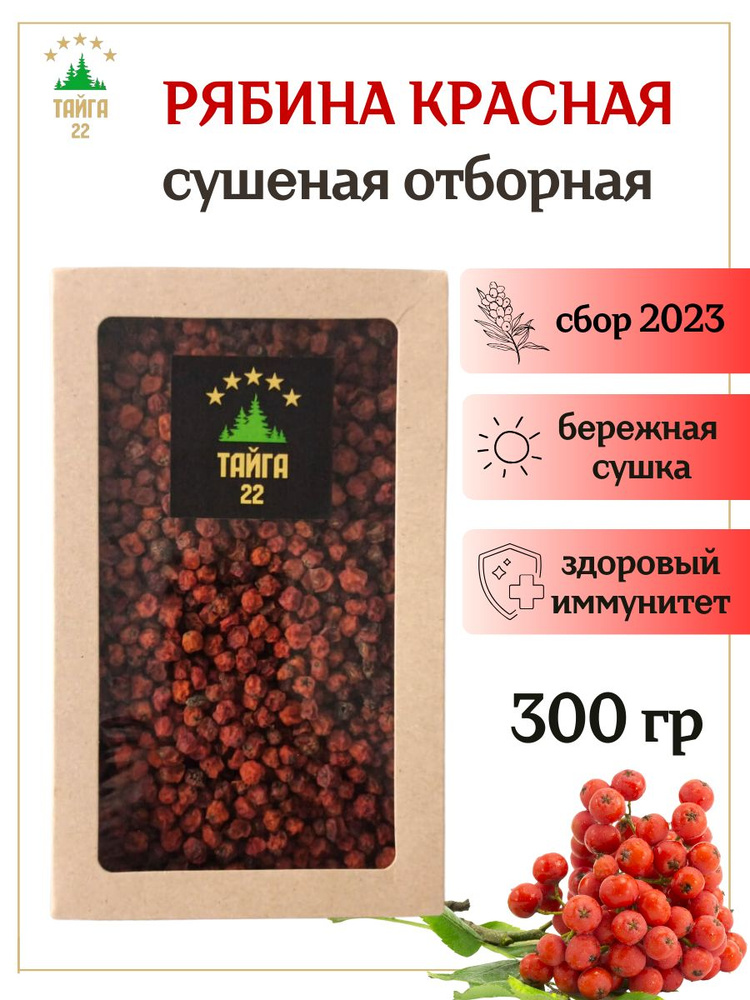 Красная рябина сушеная ягода натуральная алтайская без сахара 300 грамм ...