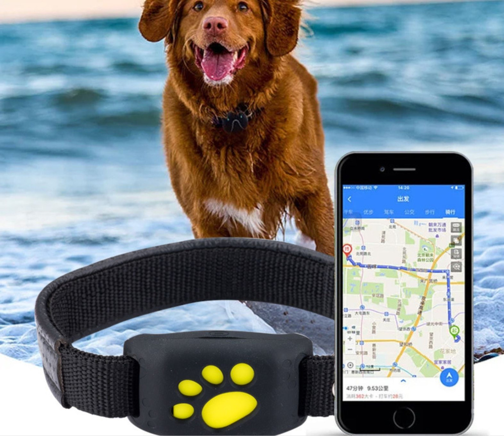 GPS-трекер для питомца Boleren CwfZ8-h, с GPS купить по выгодной цене в ...