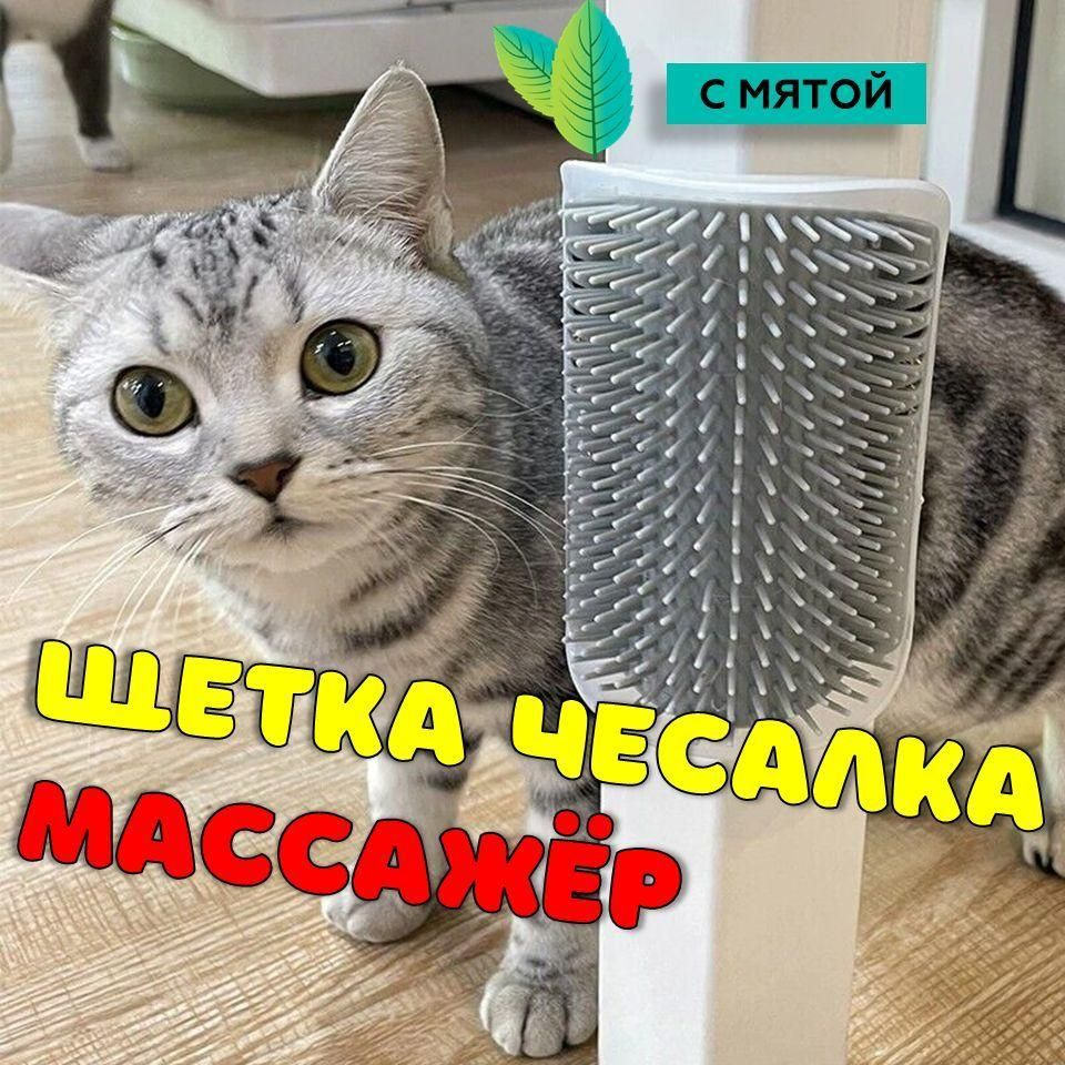 Чесалка для кошек угловая с кошачьей мятой, щетка для кошек, массажер ...