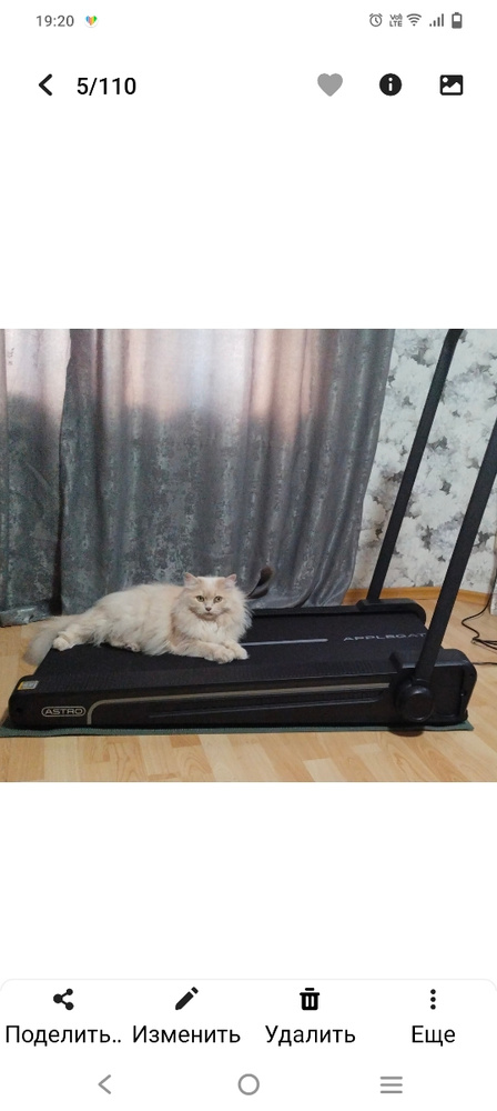 Беговая дорожка Applegate ASTRO - купить по доступным ценам в интернет-магазине OZON (1393054717)