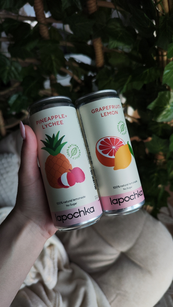 Натуральный лимонад без сахара LAPOCHKA Mix вкусов 20 х 0,33 л - купить с доставкой по выгодным ...