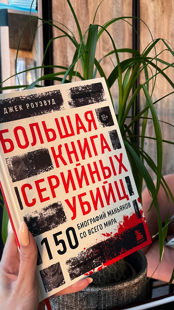 Большая книга серийных убийц. 150 биографий маньяков со всего мира ...