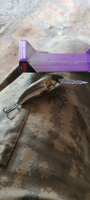 Воблер Крэнк (Crank) Rapala Shad Dancer, 15 г, 2.7-4.2 м купить c ...