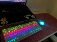 Клавиатура проводная Dark Project KD87 (DP-KD87A-000100-GMS) купить на OZON по низкой цене ...